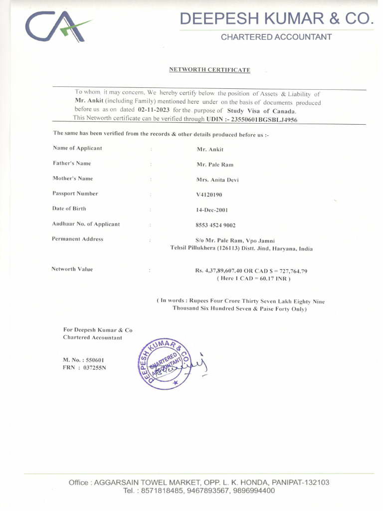 Ankit Networth Report | PDF