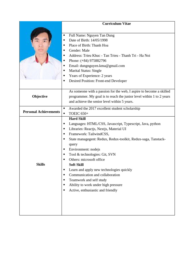 Front-End Developer CV | PDF | Java Script | Computer Programming