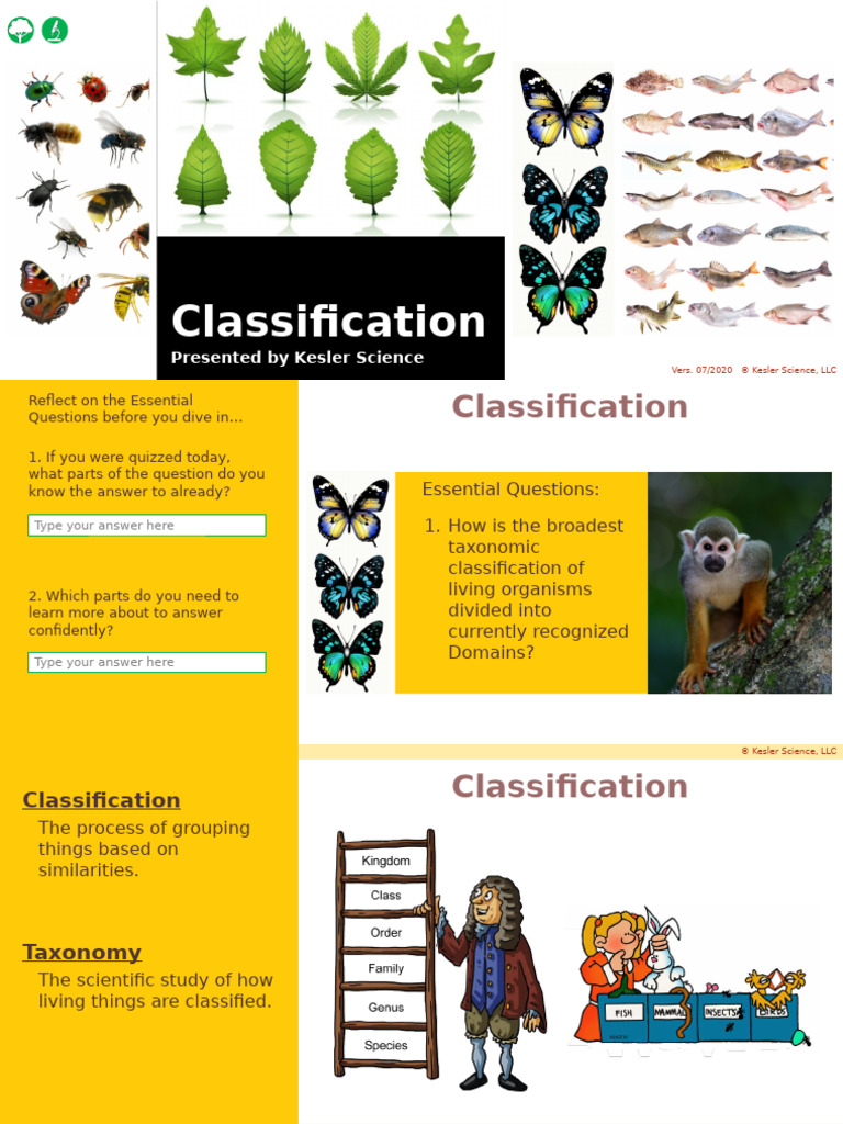 Understanding Biological Classification | PDF | Archaea | Microorganism