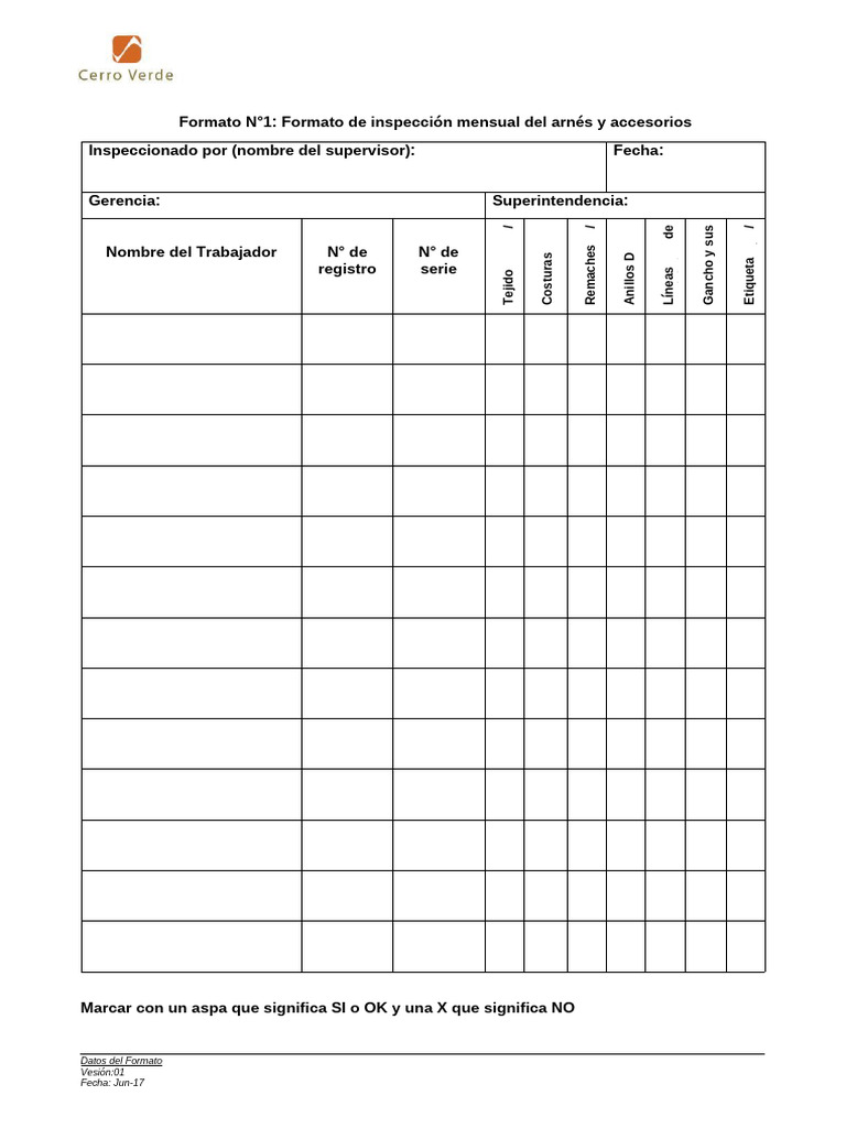 Formato #1 Inspección Mensual Del Arnes y Accesorios - v.01 | PDF