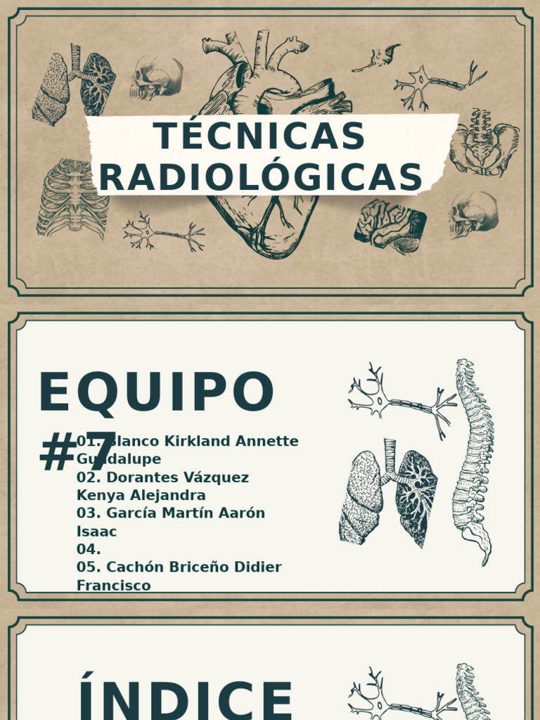 Tecnicas Radiologicas - 20240923 - 033710 - 0000 | PDF | La columna ...