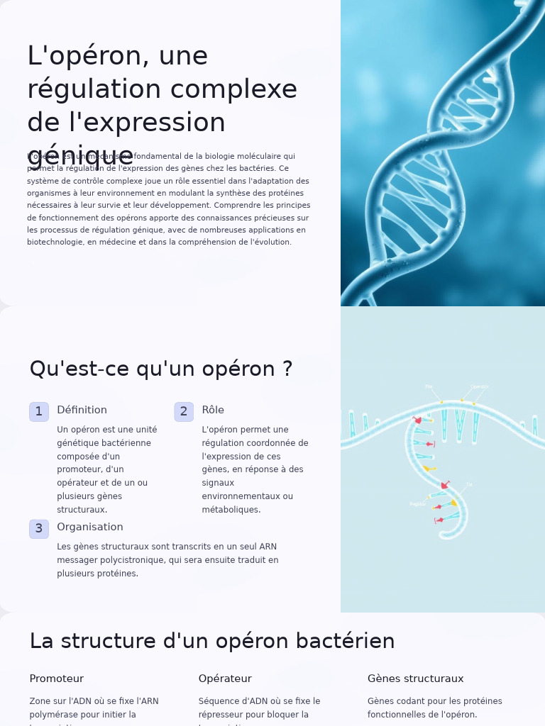 Operon Lac | PDF | Opéron | Gène
