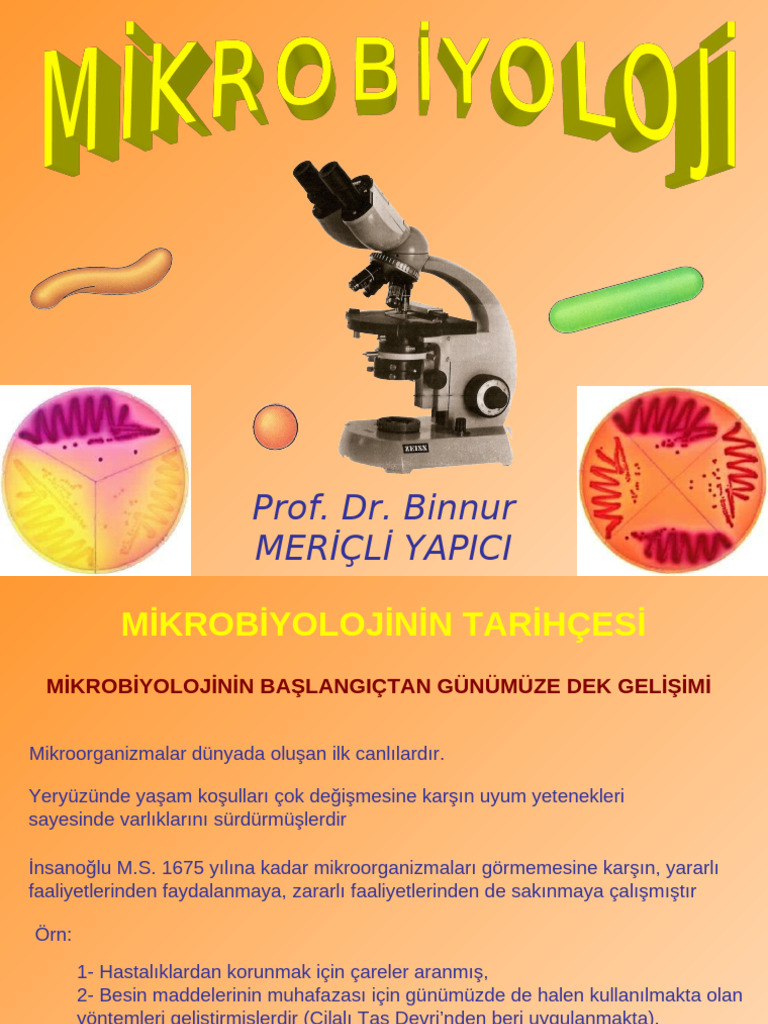 01 Giris Tarihce Protista | PDF