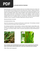 Crop Growth Chart - Maize: Stage VE V2 V5 V8 V12 V16 R1 R5 | PDF