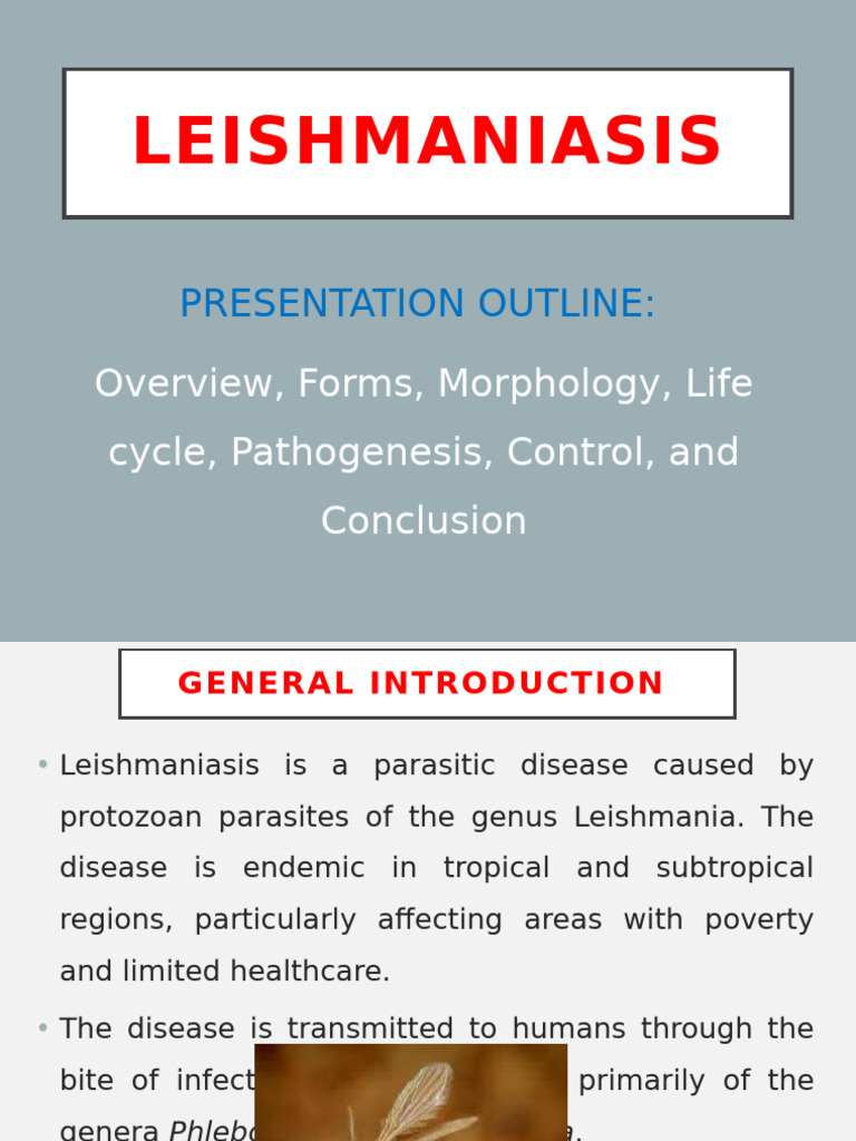 LEISHMANIASIS PPT | PDF | Animal Diseases | Medicine
