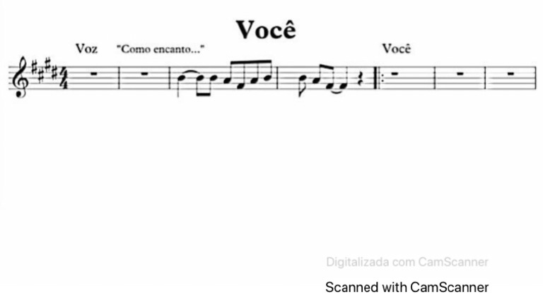 Você 1 | PDF
