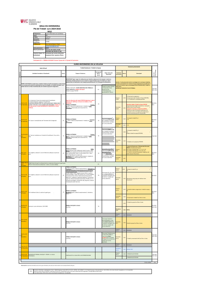 Pla Treball m12 | PDF