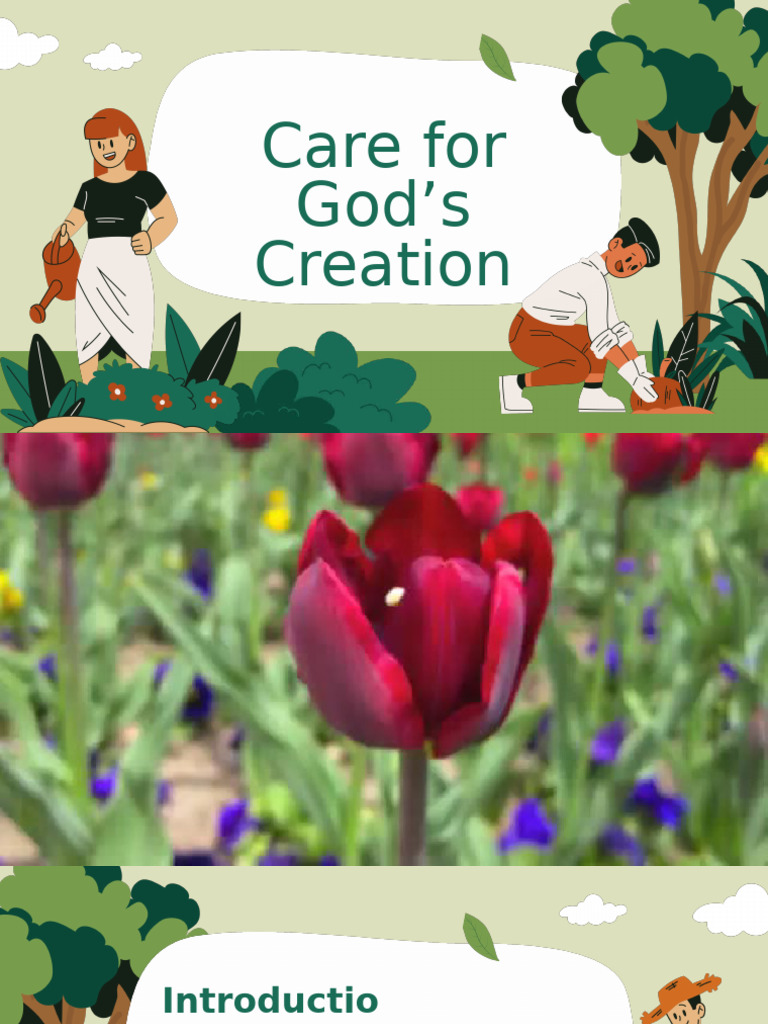 Faithful Stewardship of Earth | PDF | Sustainability | Natural Environment