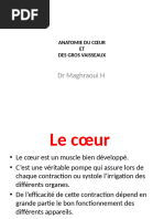 Anatomie du Péricarde et Sinus Cardiaque | PDF | Anatomie | Angiologie