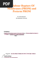 Actim PROM: Rapid PROM Detection Test | PDF | Sensitivity And ...