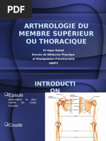 Anatomie du Poignet et Ligaments | PDF | Membres (anatomie) | Système ...