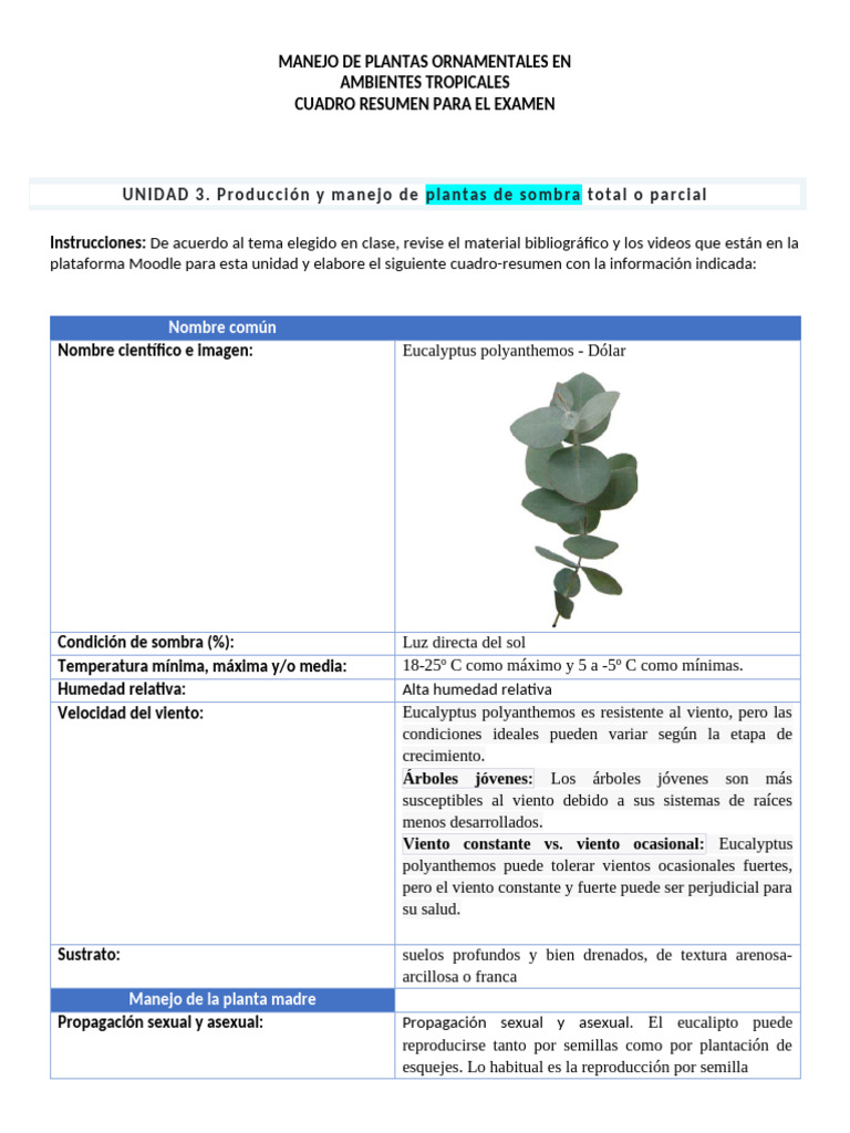 Cuadro Resumen para Examen U3 9°AB 2021 | PDF | Hoja | Eucalipto