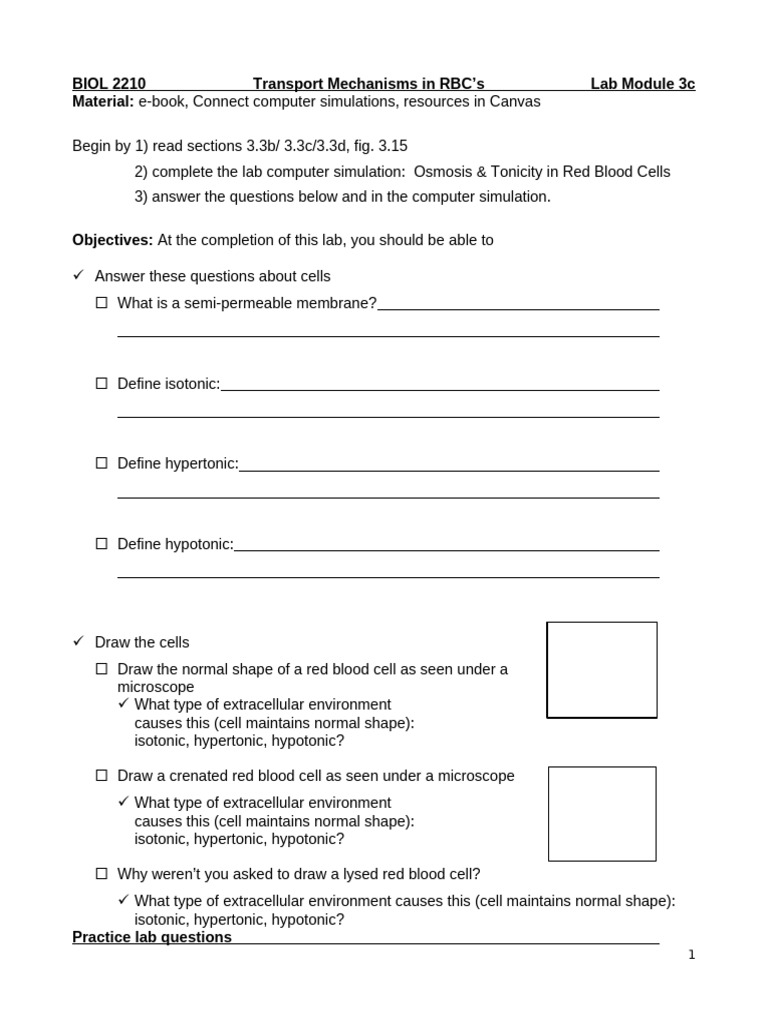 Lab 3C Transport Mechanisms RBC Osmosis (Instructions) | PDF | Red Blood Cell | Histology