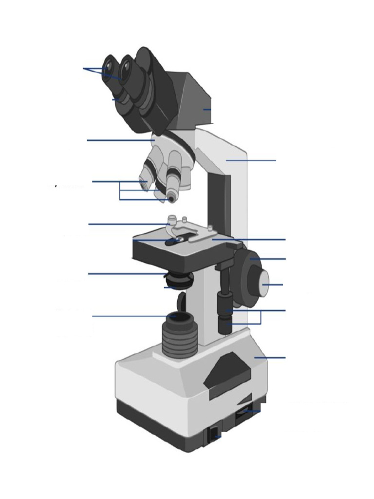 Lab 3A & 3B (Practice Figures) | PDF