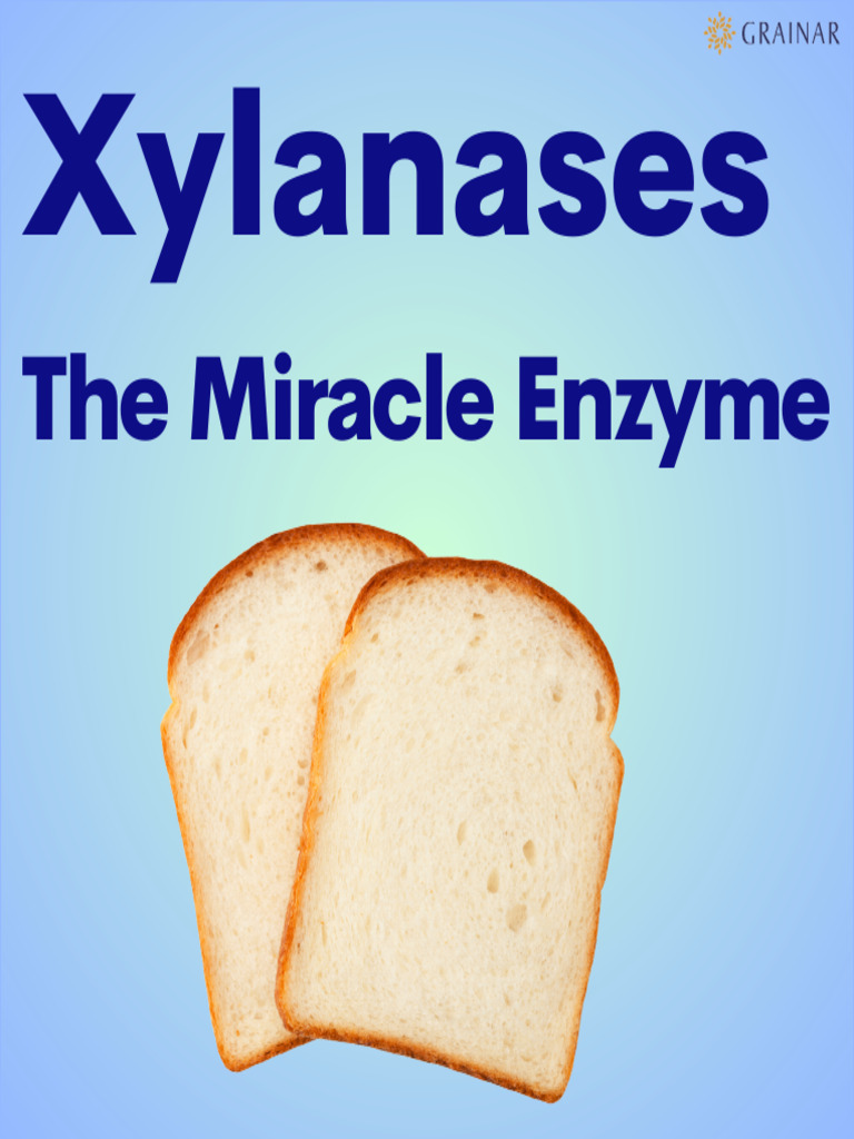 Xylanases Review- The ,Miracle Enzyme | PDF | Enzyme | Breads
