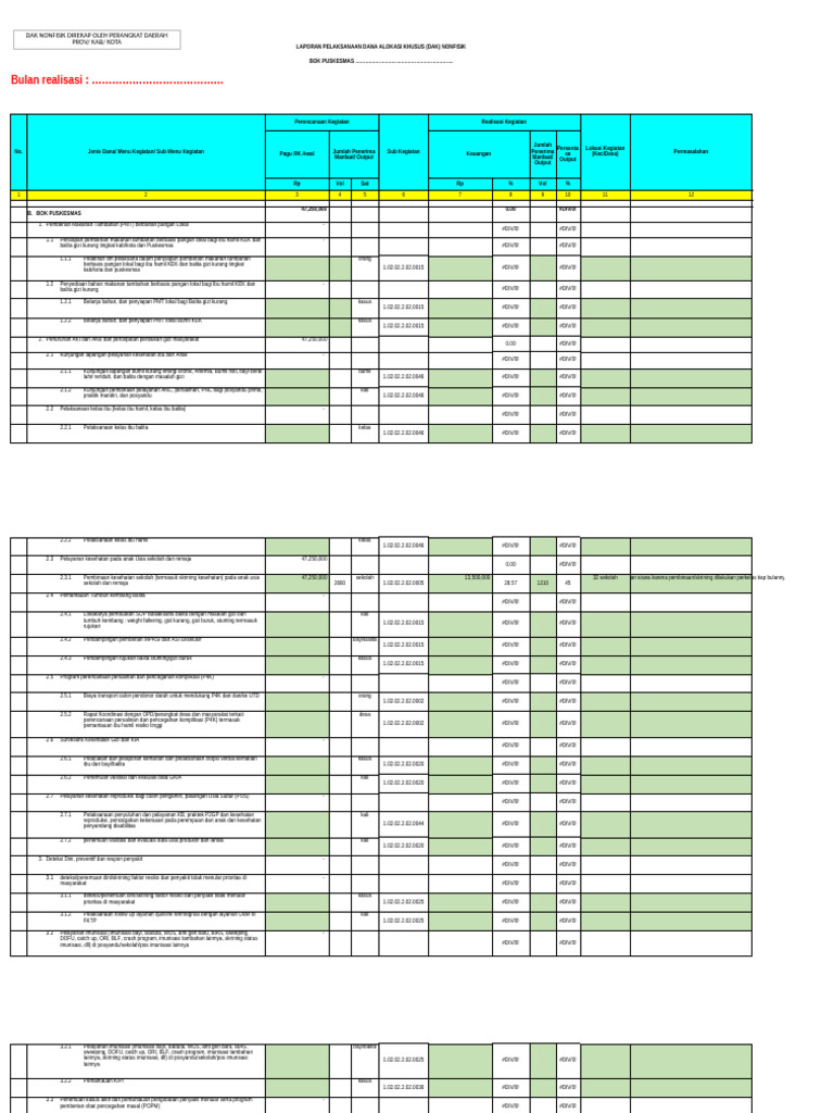 Laporan Realisasi Bok Puskesmas 2024 Salinan | PDF