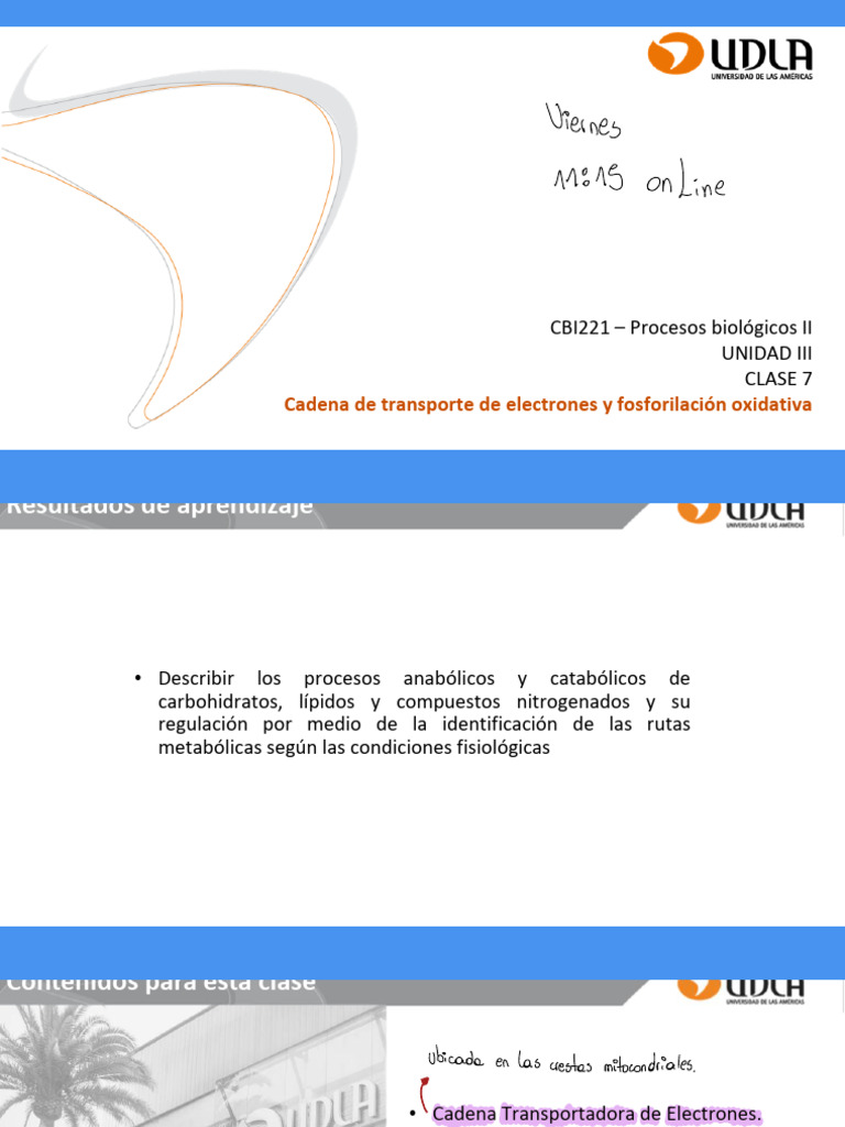 Clase 07 - Cte y Fo 2023 | PDF | Trifosfato de adenosina | Cadena de transporte de electrones