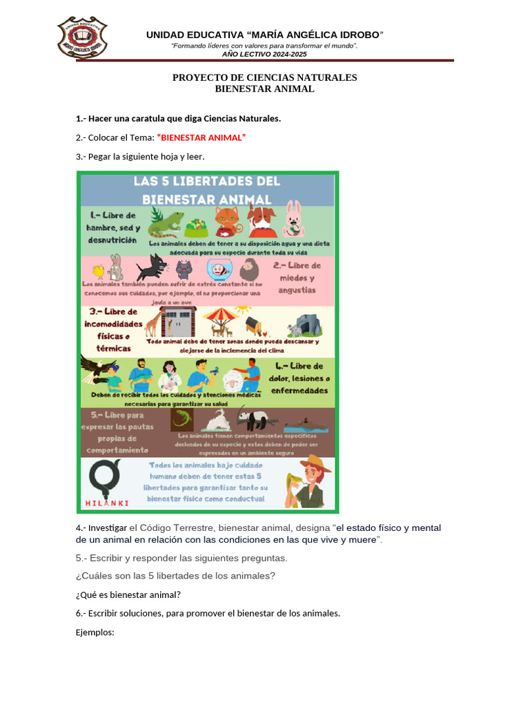 S8-PROYECTO-CCNN | PDF