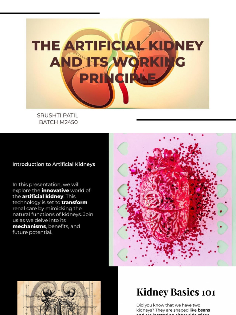 Artificial Kidney Project by Srushti P (Biophysics) | PDF
