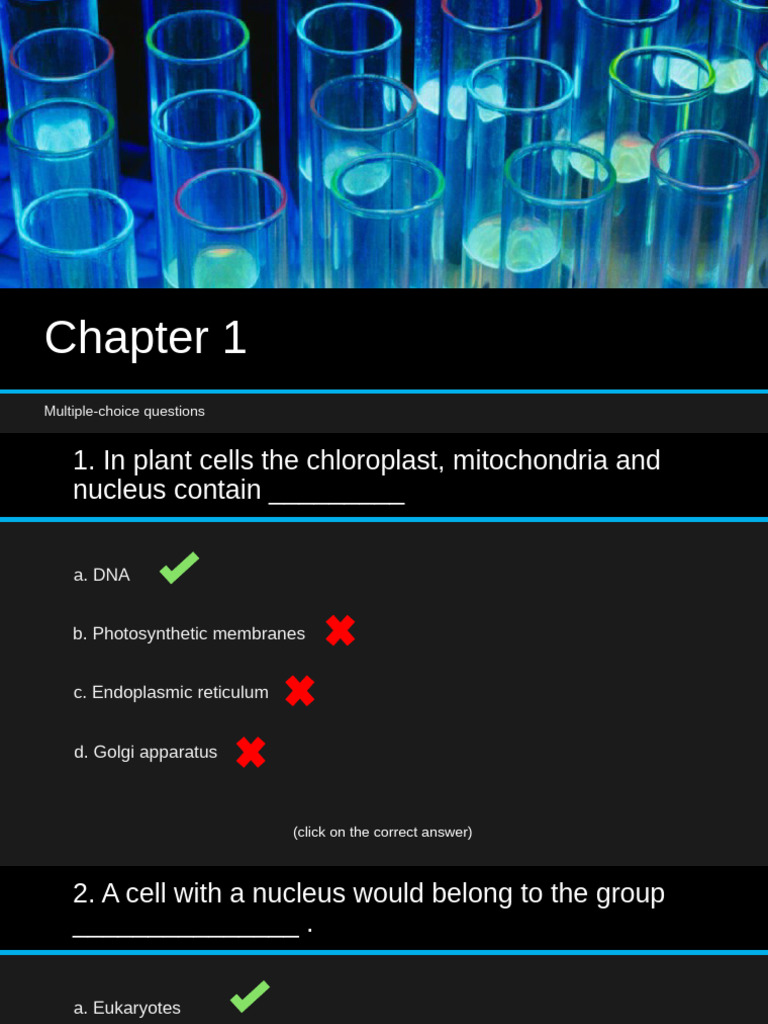 CH1 - MCQ Slides (2) | PDF