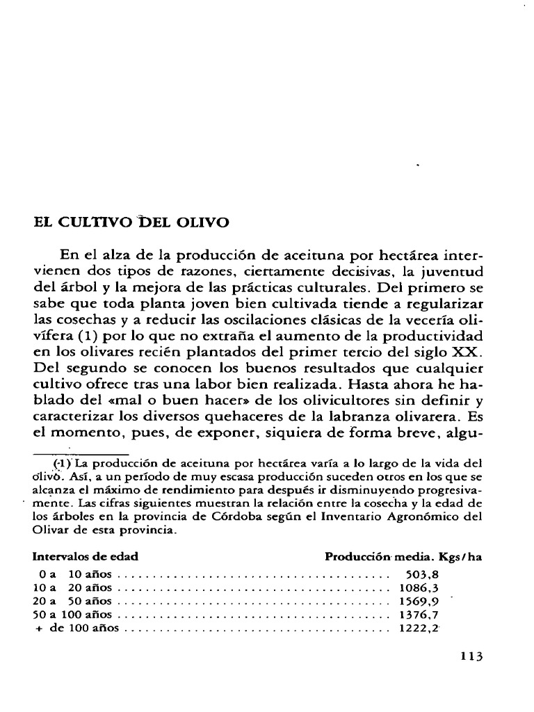 El Cultivo Del Olivo | PDF | Aceite de oliva | Aceituna