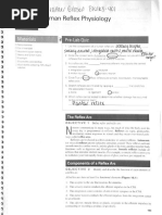 Exercise 17: The Special Senses | PDF