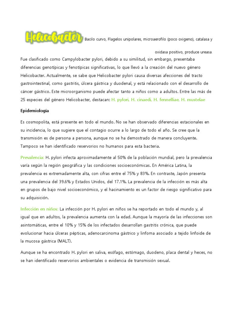 Documento de Sofia | PDF | Estómago | Especialidades Medicas