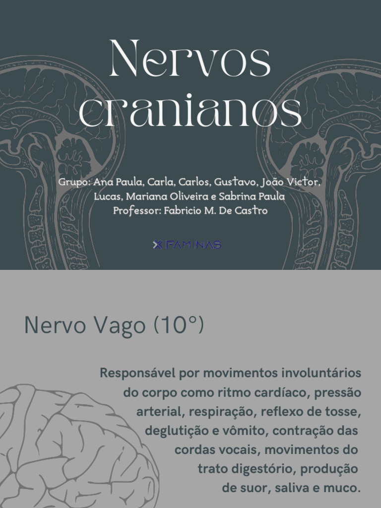 Teste do Nervo Vago e Hipoglosso | PDF