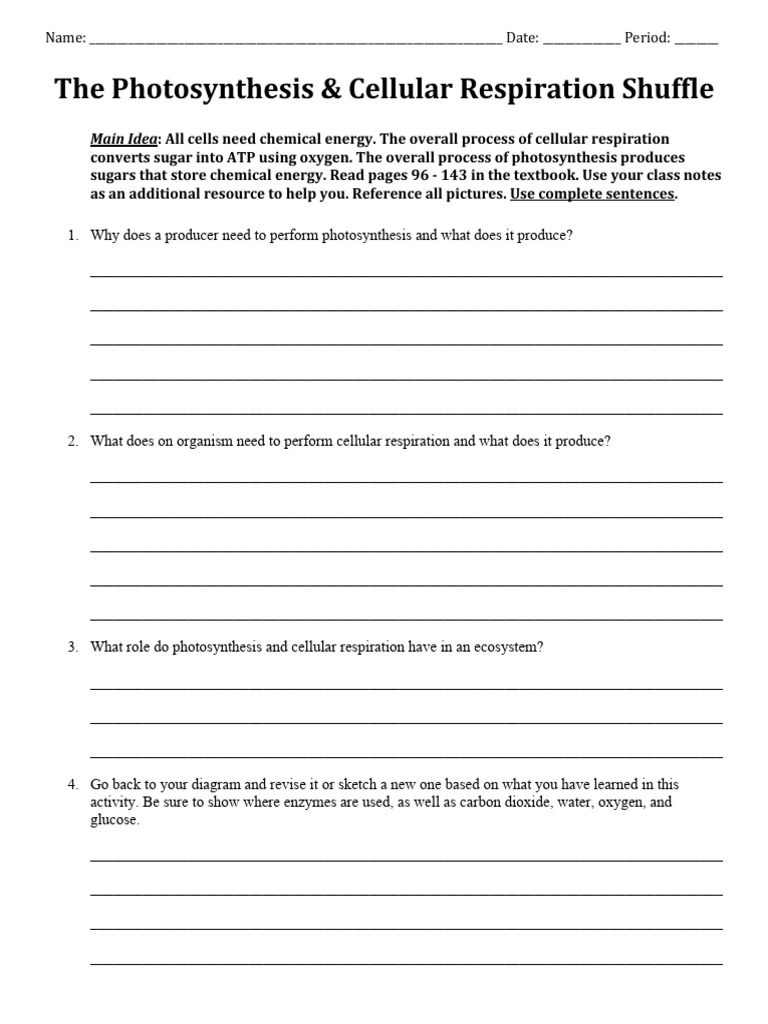 Energy - Photosynthesis Cellular Respiration Shuffle Lab 10.2022 | PDF ...