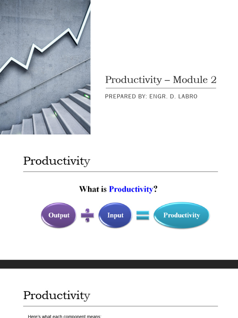 Understanding Productivity Metrics | PDF