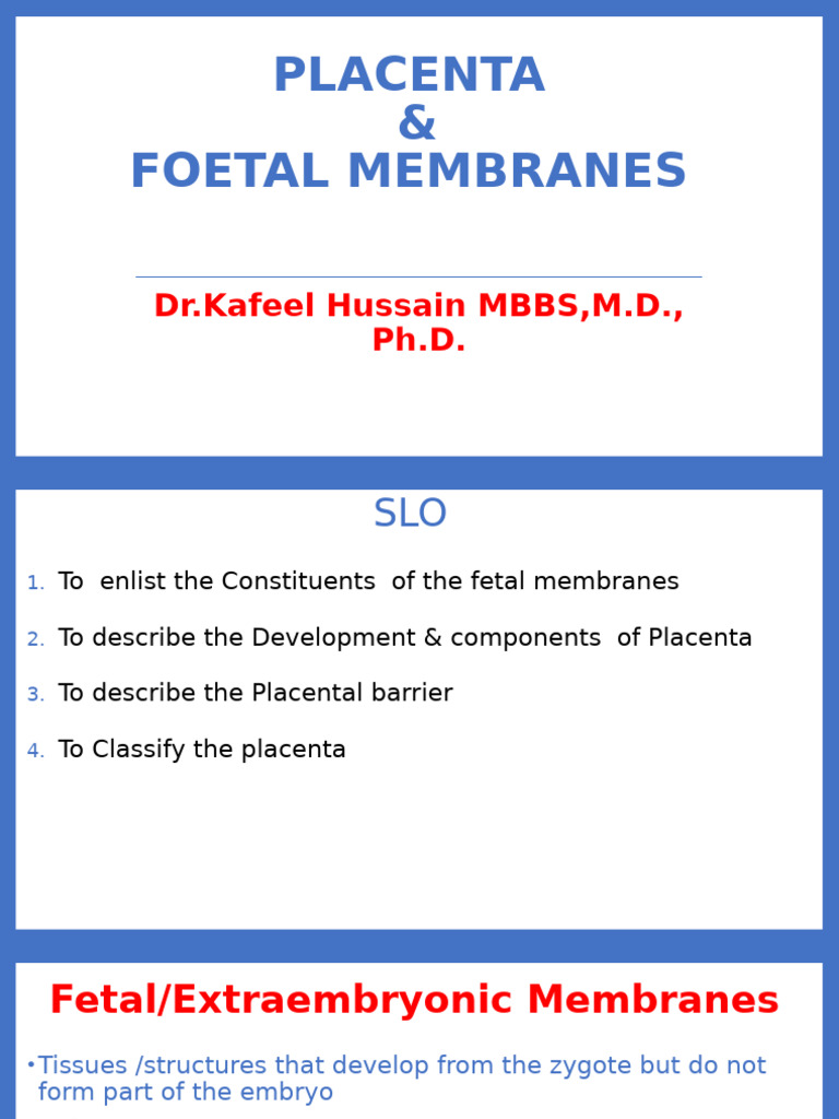 Placenta Embryology | PDF | Placenta | Reproduction