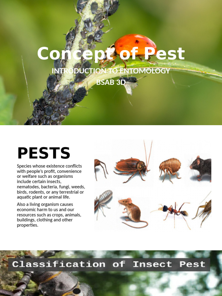Concept-of-Pest | PDF