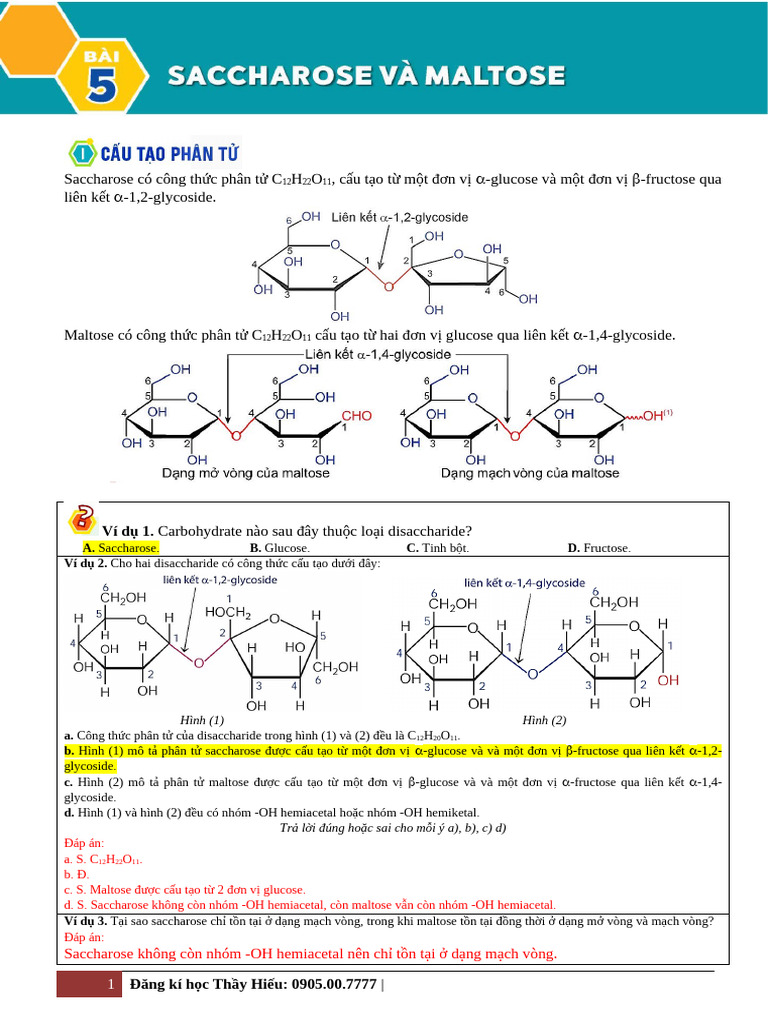 Bài 5. Saccharose Và Maltose | PDF