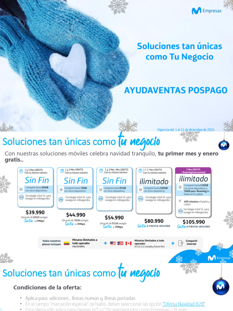 Ayudaventas - Pymes - 1 Al 31 de Diciembre de 2024 | PDF | Informática