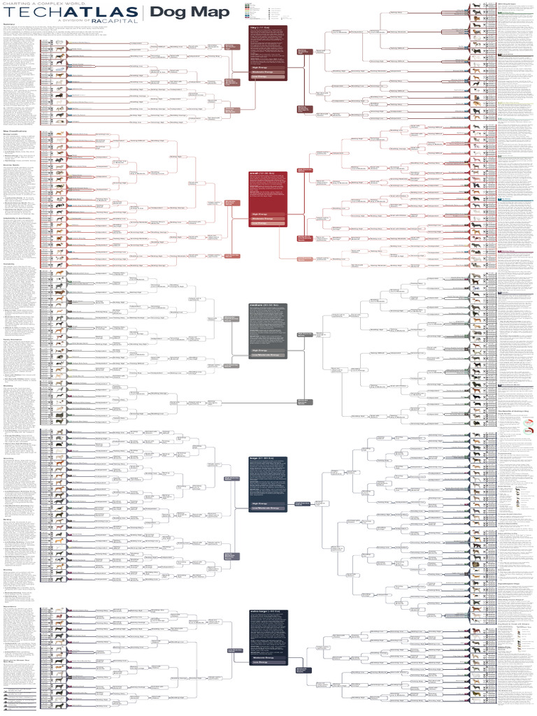Dog Breed Size Guide | PDF | Dog Breeds | Mammal Breeds