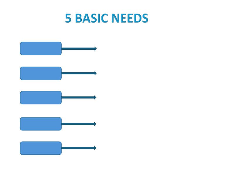 Basic needs | PDF