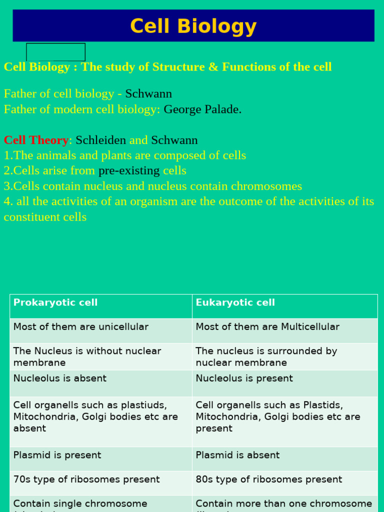 Cell Biology Basics for Students | PDF | Cell (Biology) | Organelle