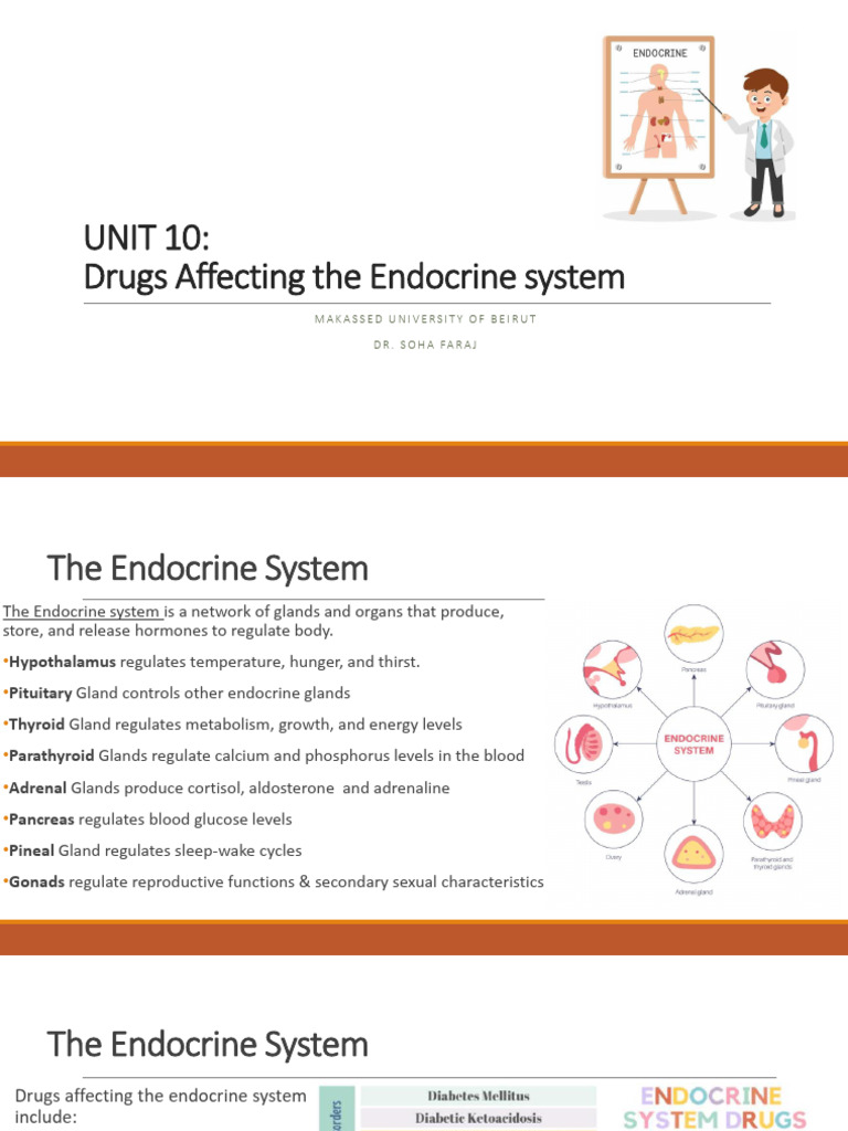 Unit 10 Drugs Affecting The Endocrine Sysytem | PDF | Hypoglycemia ...