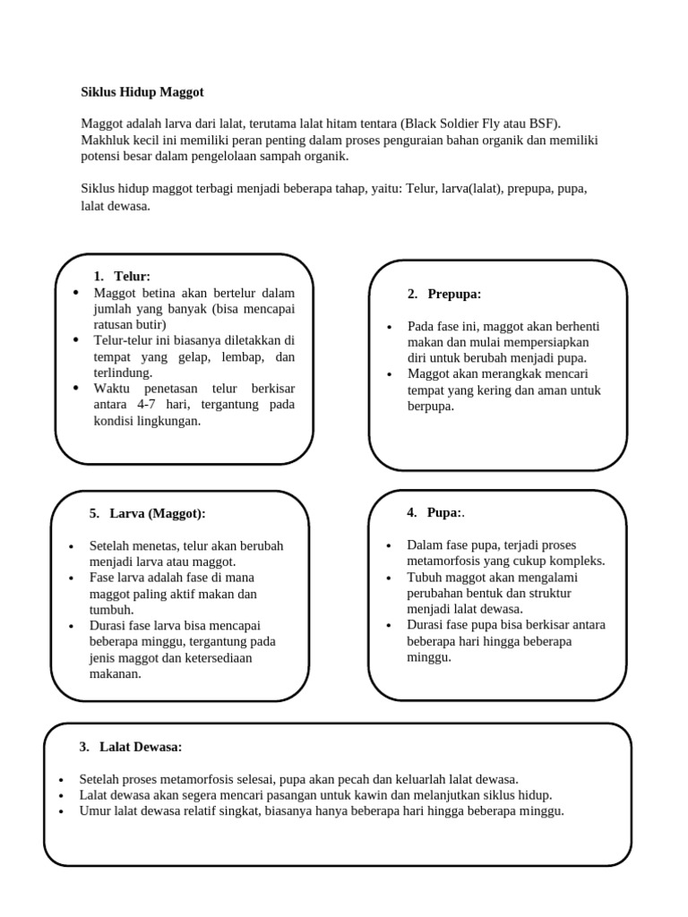 Siklus Hidup Maggot | PDF