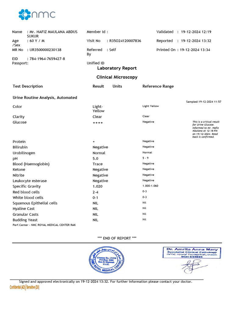 Urine Routine Analysis Automated PDF Clinical Medicine Anatomy