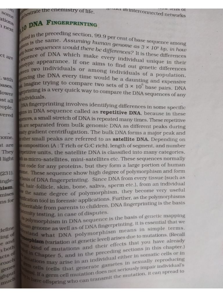 DNA Fingerprinting | PDF