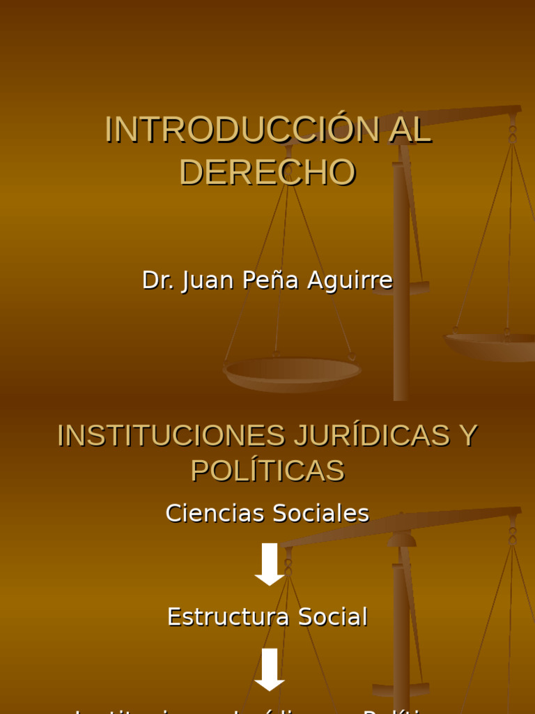 INTRODUCCION (1) | PDF | Constitución | Estatuto