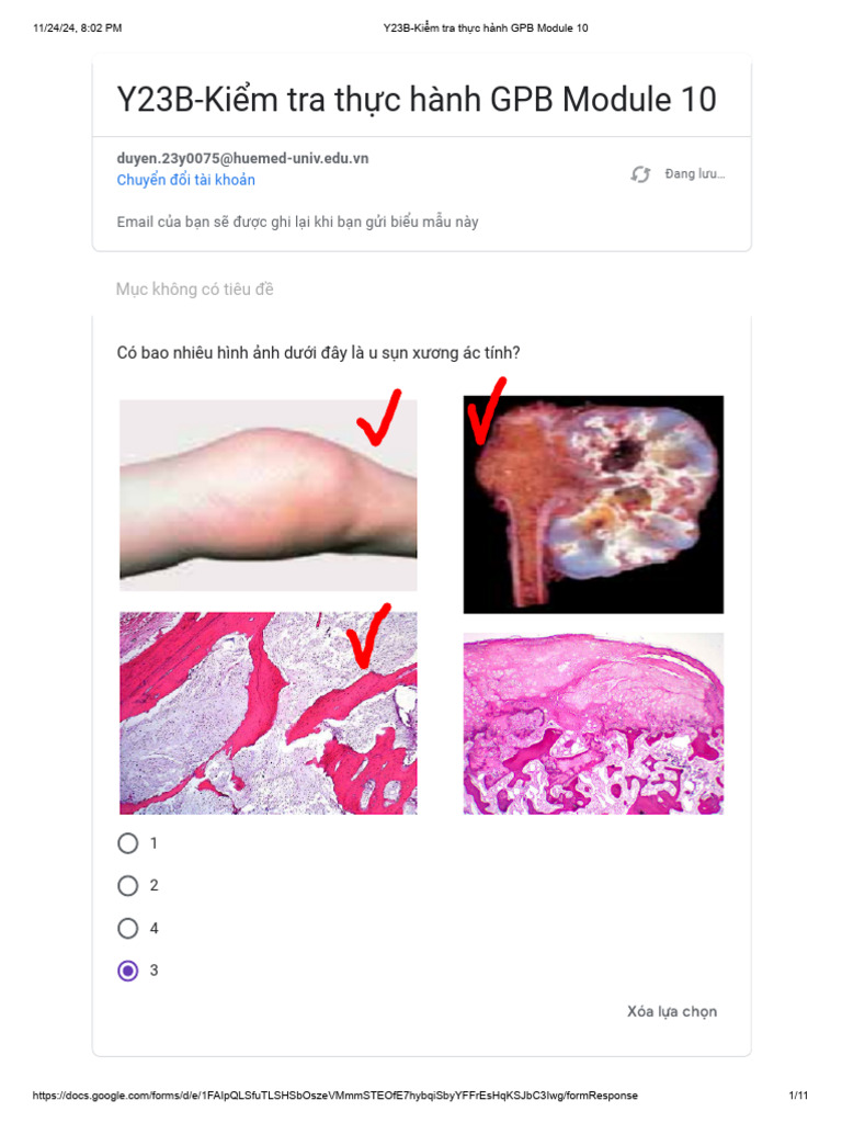 Y23B-Kiểm Tra Thực Hành GPB Module 10 | PDF