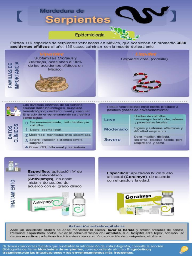 Recapitulacion | PDF