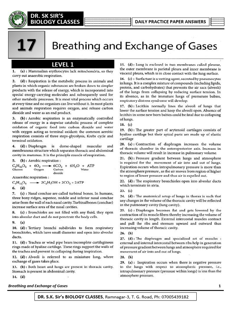Breathing & Gas Exchange Answers | PDF