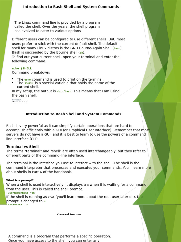 Basic Commands1 | PDF | Computer File | Command Line Interface