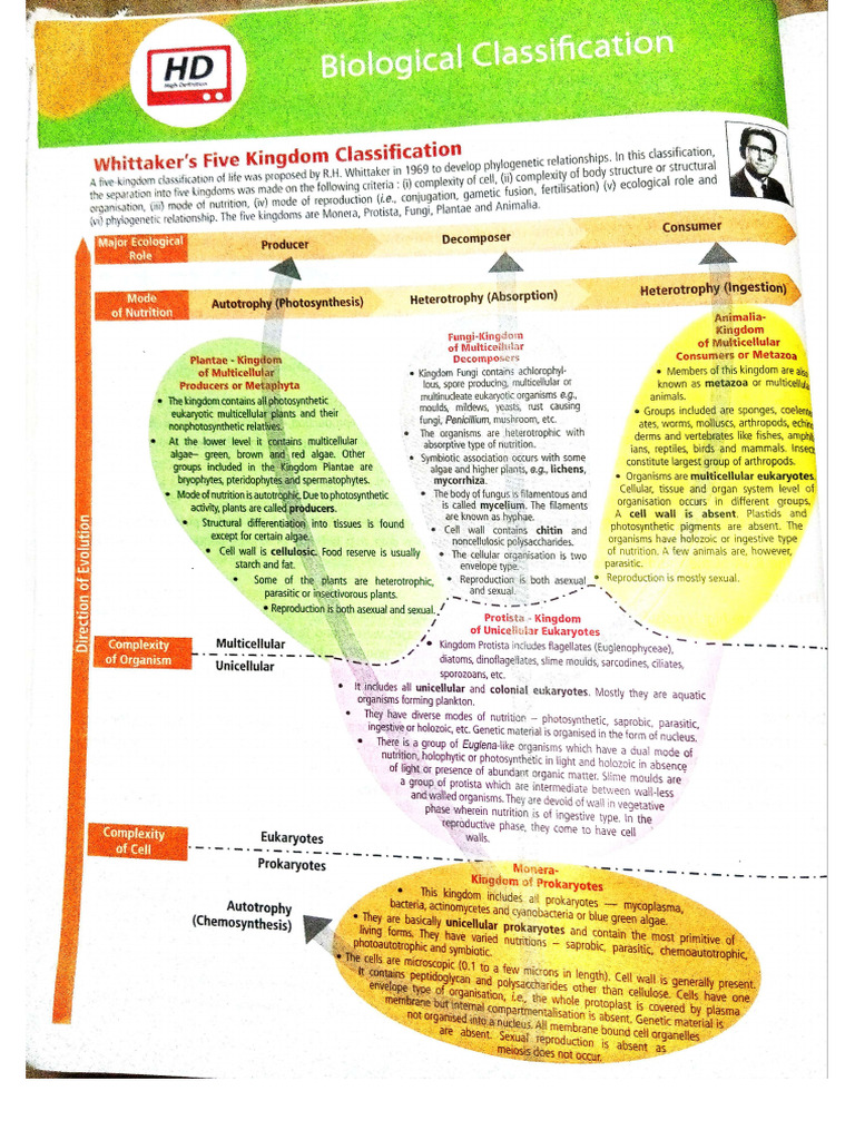 2-Biological Classification MTG Lesson 2 - XI | PDF