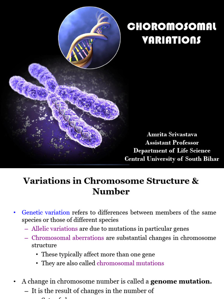 6. Chromosomal Variations | PDF | Biology | Biotechnology