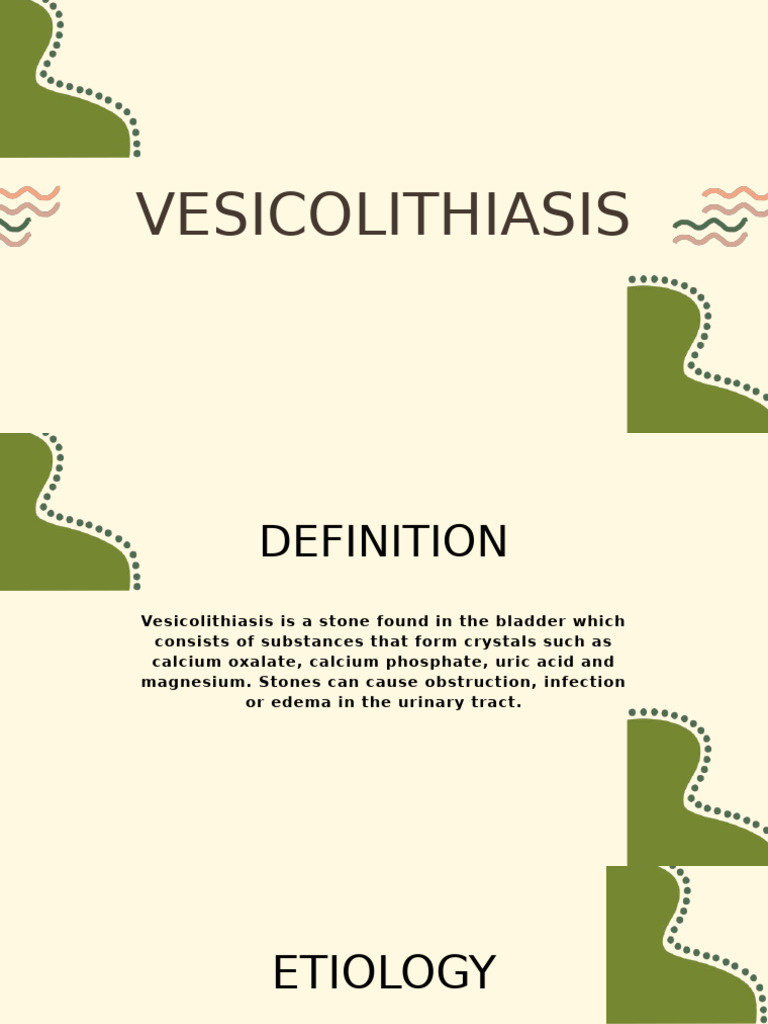 Understanding Vesicolithiasis: Causes & Treatment | PDF | Analgesic ...