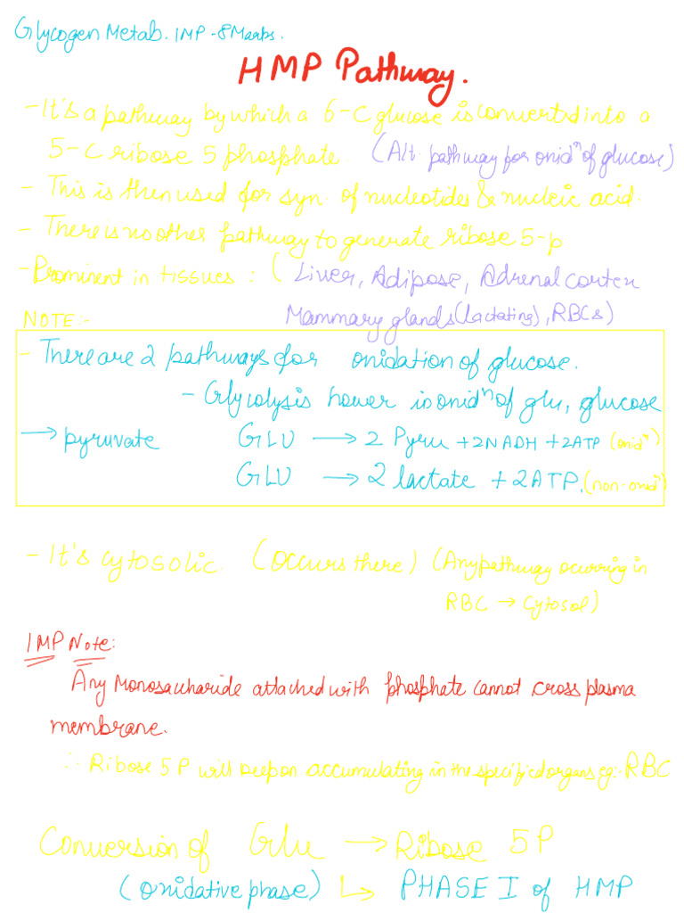 Carb metab ( from HMP) (1) | PDF | Nicotinamide Adenine Dinucleotide Phosphate | Metabolic Pathway